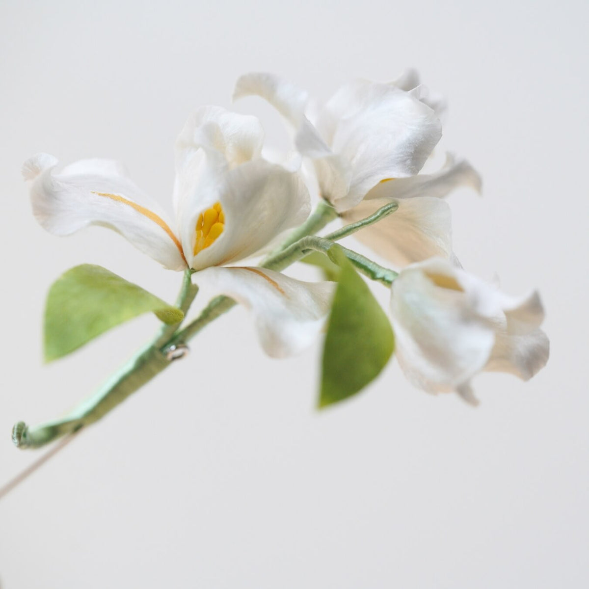 Ronghua | Handmade Velvet Flowers | Starting from $27!