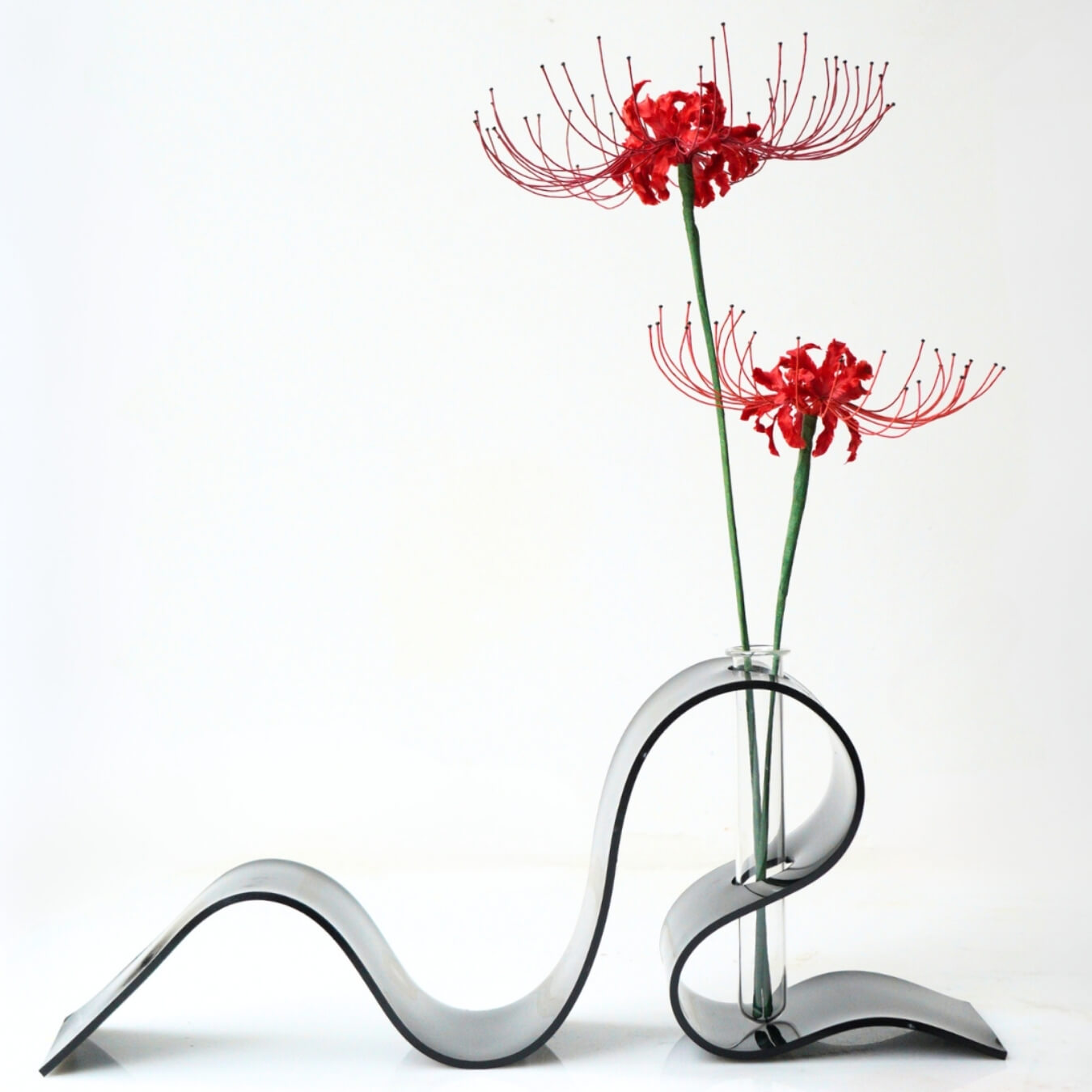 Ronghua DIY Kit | Purple Chrysanthemum Flowers Bonsai| Tools Included